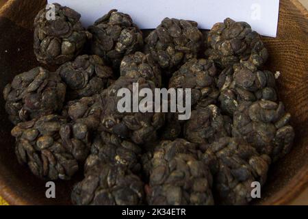 African locust bean (Parkia biglobosa Stock Photo - Alamy