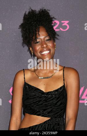 LOS ANGELES - FEB 17: Devyn Tyler at the Snowfall Season 5 Premiere at ...