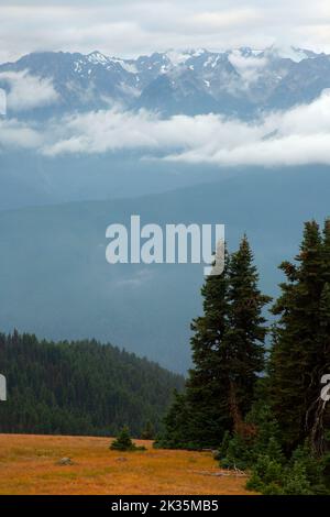 Olympic Mountains from Hurricane Hill Trail, Olympic National Park ...