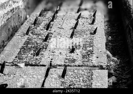 Carpet tack strip exposed during a flooring home improvement project ...