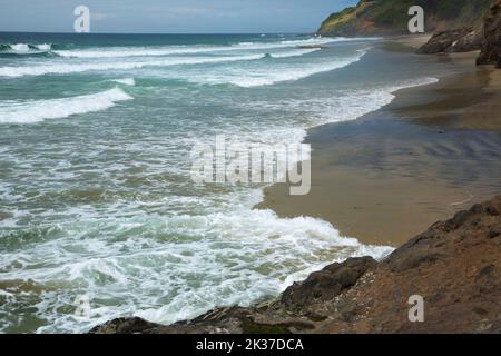Beach at Strawberry Hill, Neptune State Park, Oregon Stock Photo - Alamy