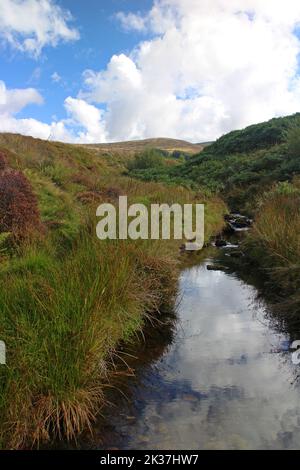 Berwyn mountains above Llandrillo Stock Photo - Alamy