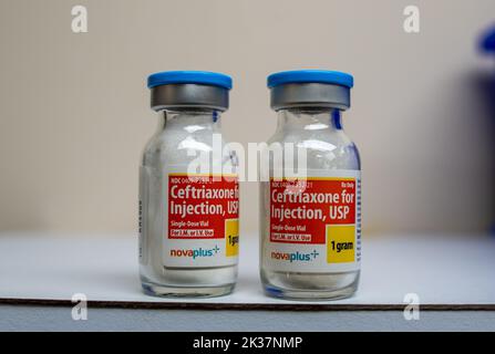 Trimethoprim / Sulfamethoxazole Brand name: Bactrim DS Antibiotics It ...