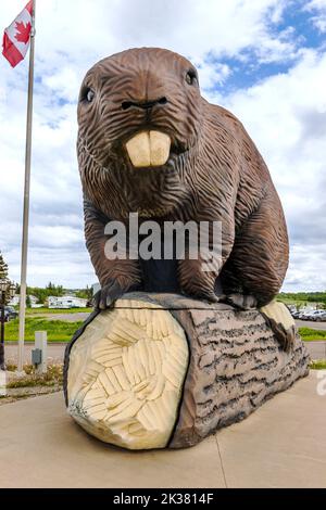 Giant beaver sculpture on display; Beaverlodge; Alberta; Canada Stock ...
