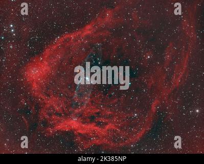 Sh2-129 Flying bat and squid nebula Stock Photo - Alamy