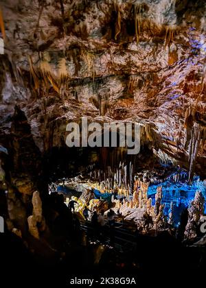 Inegol, Bursa, Turkey - September 2022: Various trees reflecting the ...