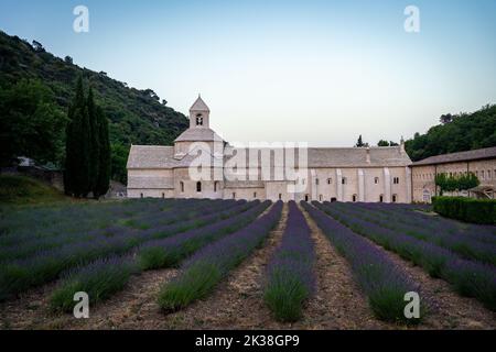 A beautiful shot of Bookstore Senanque Abbey in a lavender field in ...