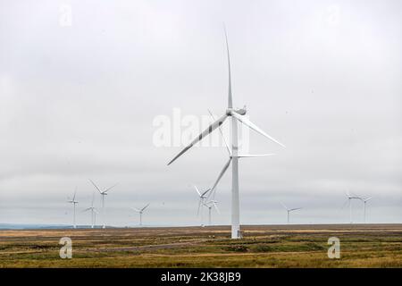 Wind farm along A9 near Tacher, Halkirk, Scotland, Highland, UK Stock ...