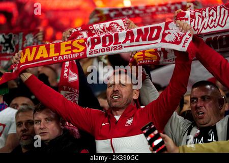 Poland at Cardiff City Stadium in match vs Wales Stock Photo - Alamy