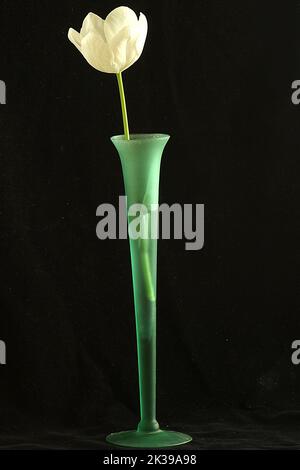 Flowers in a vase (Freesia, Tulip, Orchid Stock Photo - Alamy