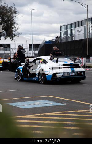 The Porsches lining up for the Carrera Cup down at Albert Park ...