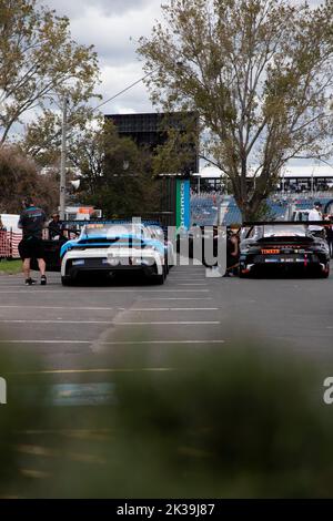 The Porsches lining up for the Carrera Cup down at Albert Park ...