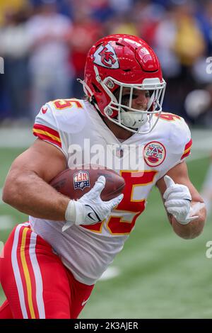 Kansas City Chiefs fullback Michael Burton wipes away sweat during NFL ...