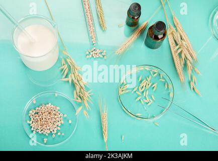 Analyzing agricultural wheat grains in laboratory. Wheat genetically ...