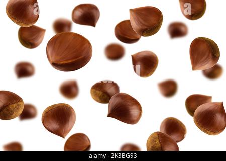 Chestnuts with peel on white background. An isolated object Stock Photo ...