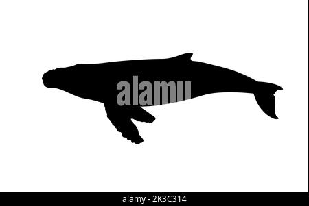 humpback whale icon Stock Vector Image & Art - Alamy