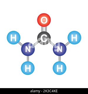 Molecular Model of Urea (CO(NH2)2) Molecule. Vector Illustration Stock ...