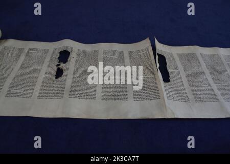 Old Torah book with the the five books of Moses. Cover with a menorah ...