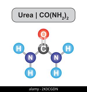 Molecular Model of Urea (CO(NH2)2) Molecule. Vector Illustration Stock ...