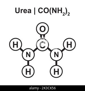 Molecular Model of Urea (CO(NH2)2) Molecule. Vector Illustration Stock ...