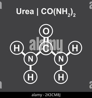 Molecular Model of Urea (CO(NH2)2) Molecule. Vector Illustration Stock ...