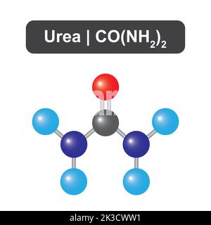Molecular Model of Urea (CO(NH2)2) Molecule. Vector Illustration Stock ...