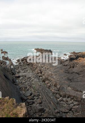 DEVON ; HARTLAND QUAY; COMPRESSED SANDSTONE, MUDSTONE, SHALE ROCK ...