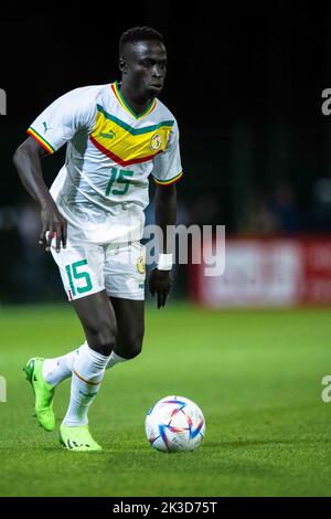 ORLEANS, FRANCE - SEPTEMBER 24: Krepin Diatta of Senegal look on as the ...