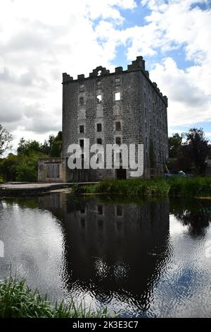 Levitstown Mill on the River Barrow, Levitstown, Athy, County Kildare ...