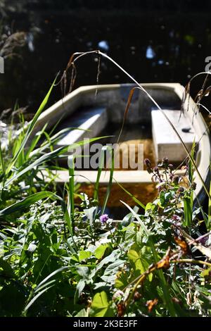 Canal, River Barrow, Athy, County Kildare, Ireland Stock Photo - Alamy