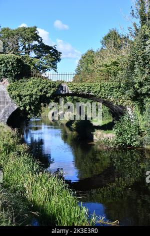 Bridge over River Barrow, Athy, County Kildare, Ireland Stock Photo - Alamy