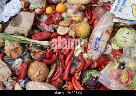 SERBIA, dumping of food waste from supermarket Stock Photo - Alamy