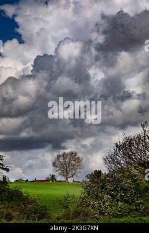 One morning in Ordsall. Ordsall is attached to the market town of ...
