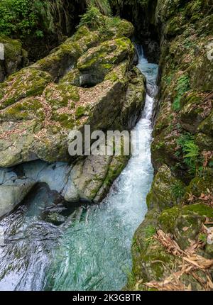Mountain Spring and Waterfall in Emei Mountain, Sichuan Province, China ...