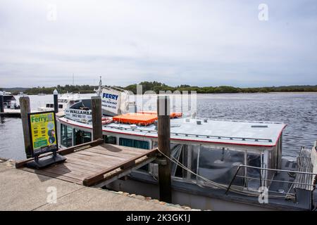 Small Ferry on Myall River at Tea Gardens operating to and from Nelson ...