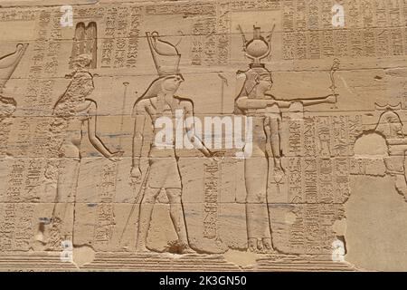 beautiful pharaonic reliefs and hieroglyphics carved on the walls of ...