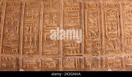 beautiful pharaonic reliefs and hieroglyphics carved on the walls of ...