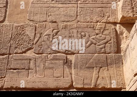 beautiful pharaonic reliefs and hieroglyphics carved on the walls of ...