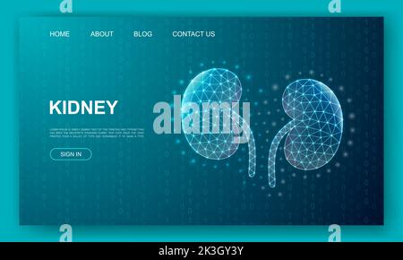Kidneys 3d polygonal symbol for website template. Low poly Internal organ illustration for promo ...
