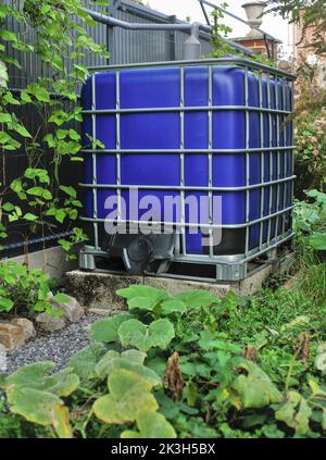 Rainwater collection tank, with blue walls, in a green setting Stock ...