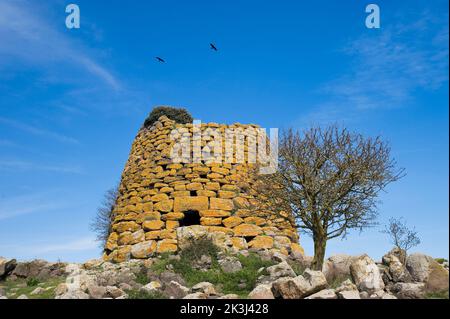 Nuraghe Succuronis, Macomer, Provincia di Nuoro, Sardinia, Italy ...
