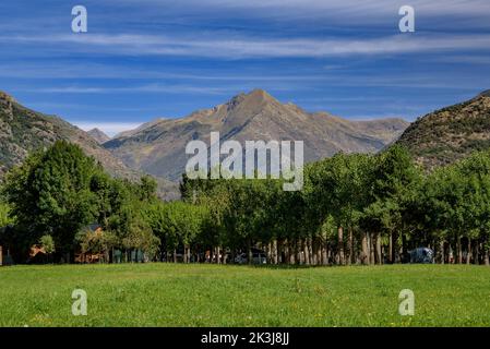 Green spring fields in Ribera de Cardós, in the Cardós valley. In the ...