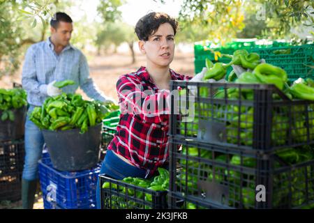 Woman arranging bell peppers in bowl on kitchen island at home Stock ...