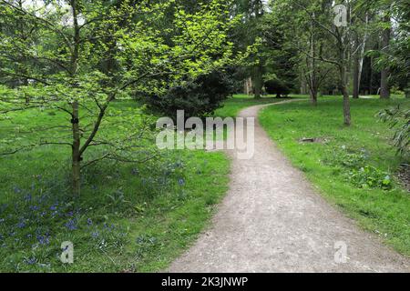 Spring colours in Lynford Arboretum, Lynford Hall, Lynford village near ...