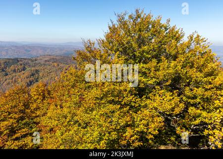 Amazing Autumn Landscape of Erul mountain, Pernik Region, Bulgaria ...