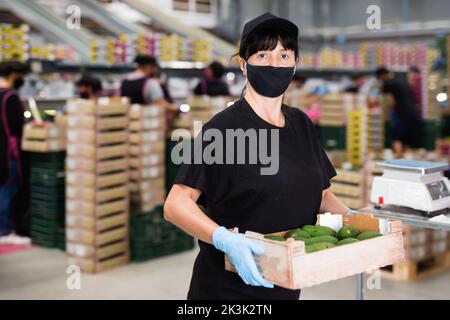 Young woman holding mango during checking quality and sorting mango at ...