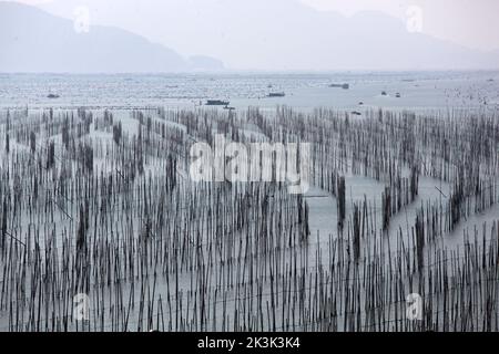 NINGDE, CHIAN - SEPTEMBER 24, 2022 - The S-shaped waterway of Shajiang ...