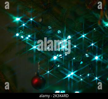Close up of holiday electric blue garlands on fir branch with Christmas ...
