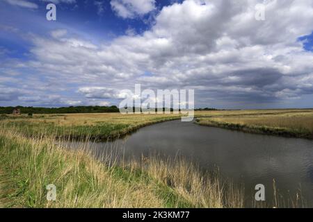 View over the Walberswick National Nature reserve, Walberswick village ...