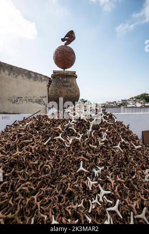 Paco Tito Pottery Museum courtyard, Úbeda, Jaén Stock Photo - Alamy
